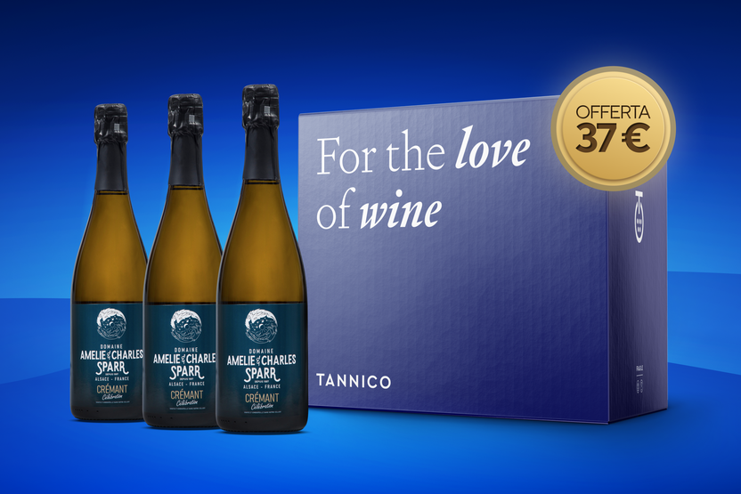 Tannico: vendita vino online nella miglior enoteca online d'Italia